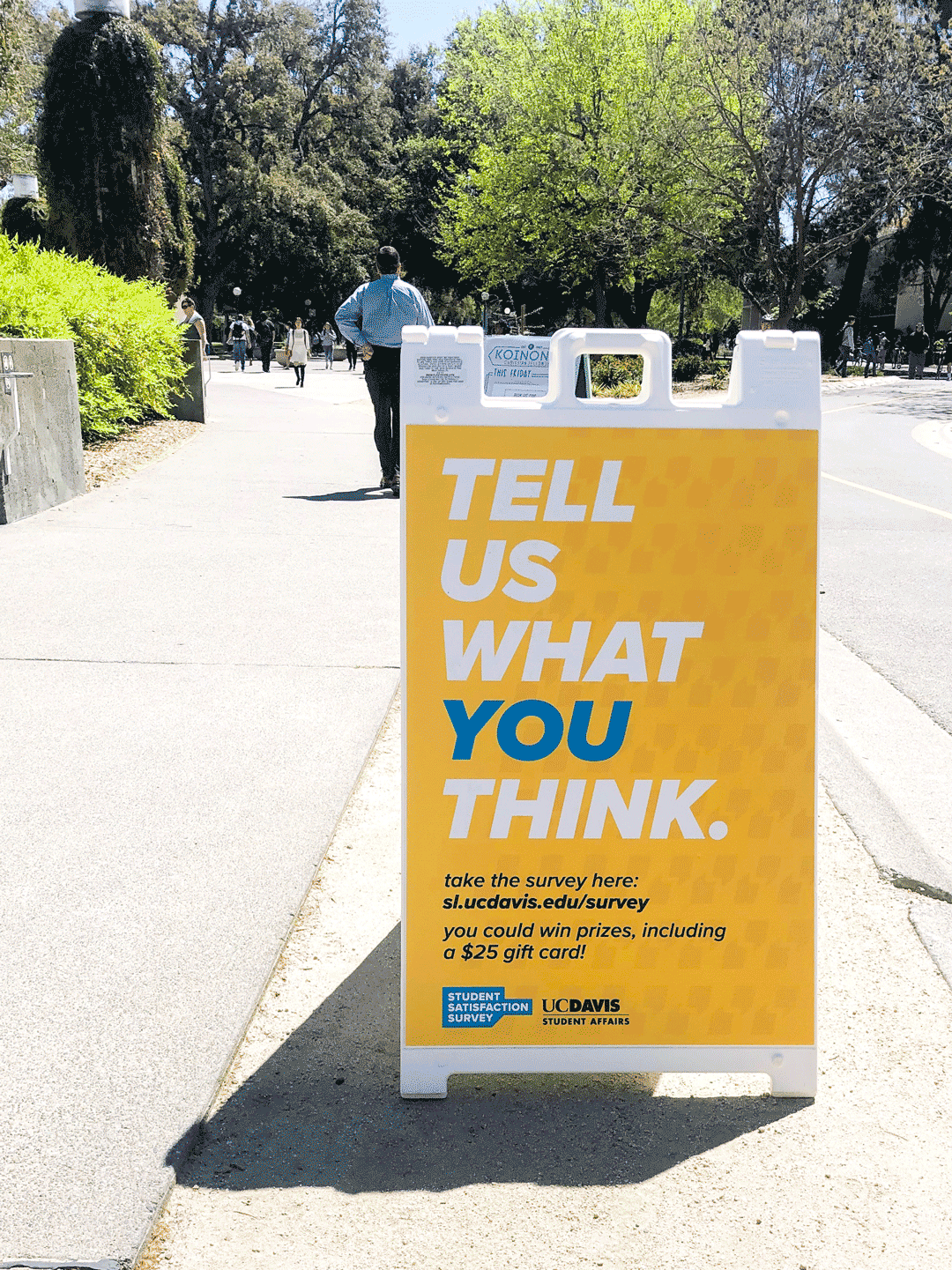 Extra! – Cindy Cheung